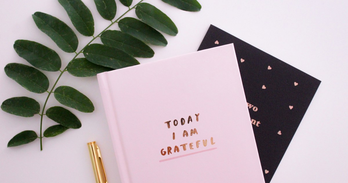 Gratitude at Work: Fueling Motivation, Growth, and Connection | Ingram ...